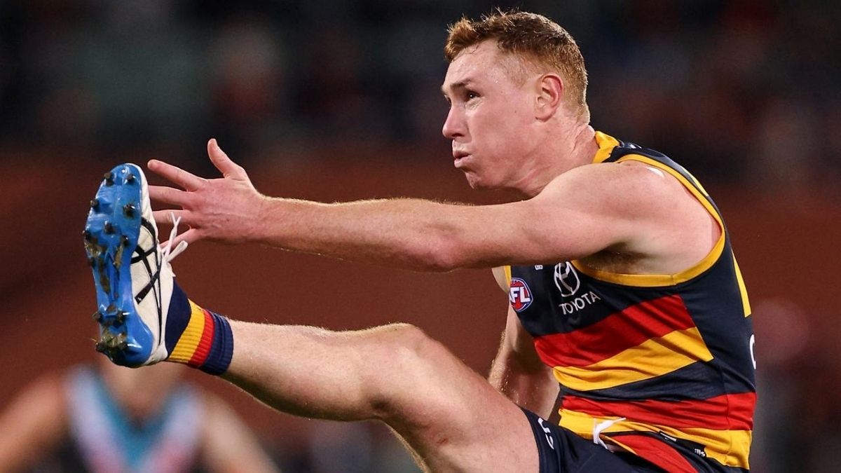 Nth Melbourne Update: Tom Lynch - AFLRATINGS