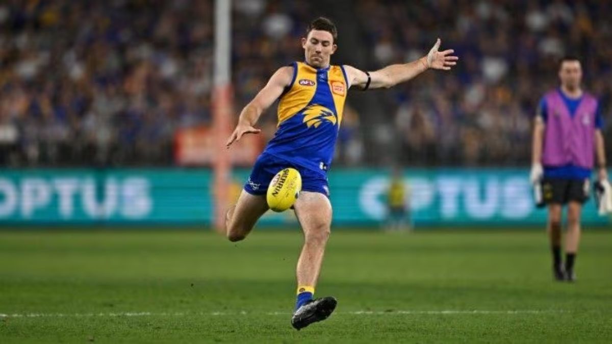 Injury Update: Jeremy McGovern - AFLRATINGS